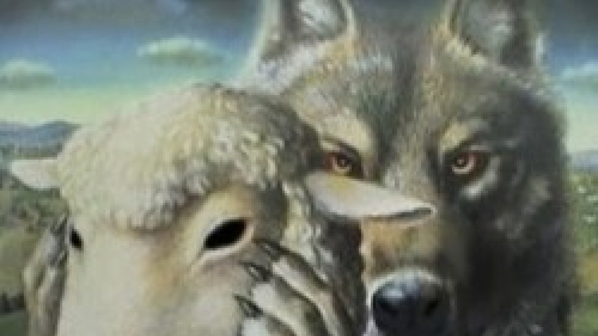 Cuidado con los falsos profetas; por sus frutos los conoceréis