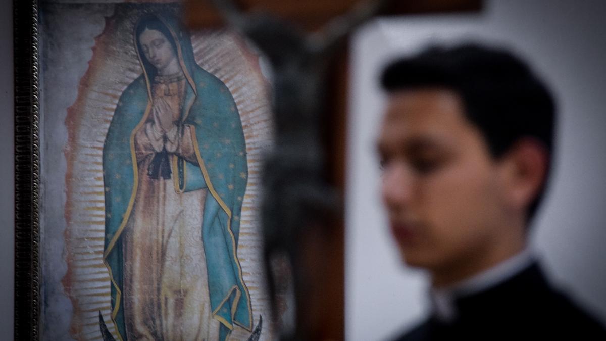 Las pruebas de la sobrenaturalidad de la tilma de Guadalupe, explicadas ...